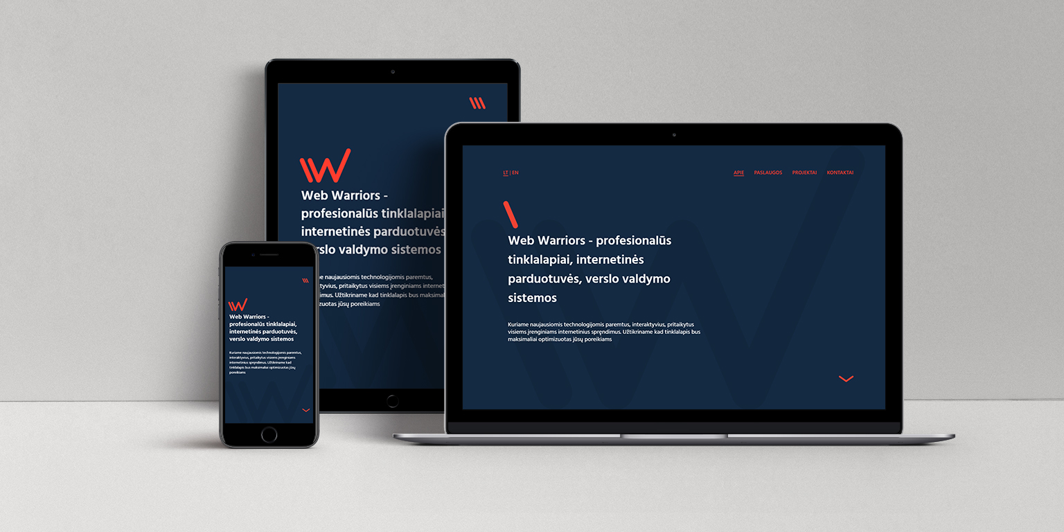 Web Warriors - web development, e-shops and business management systems